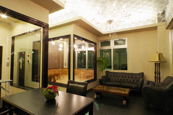 Pets should enjoy holiday season too | Okinawanderer Okinawa News travel