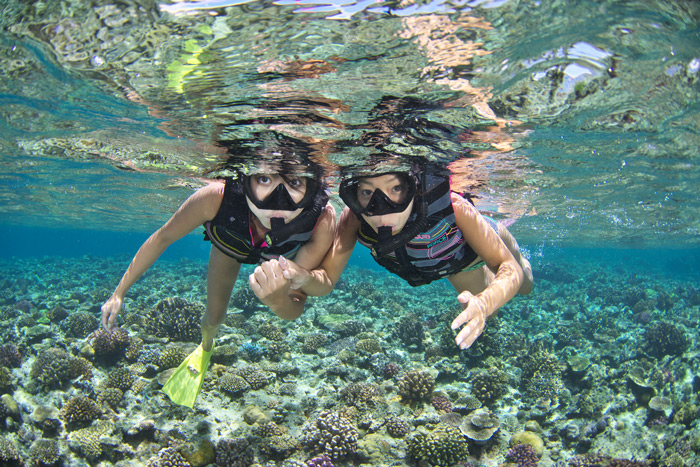 Did you know? You can enjoy a variety marine activities on Okinawa ...