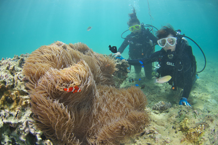 Did you know? You can enjoy a variety marine activities on Okinawa ...